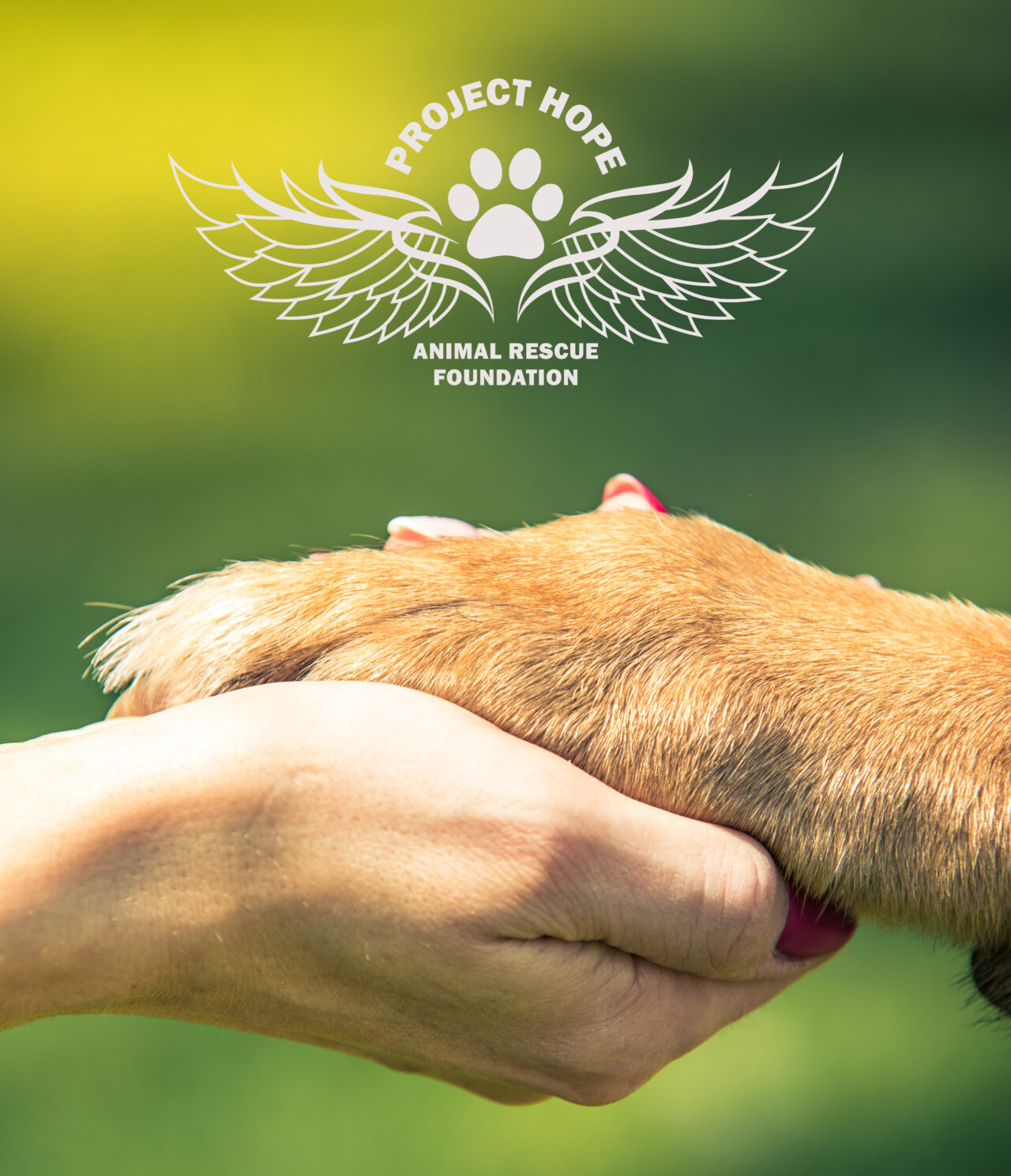 Home - Project Hope Animal Rescue Foundation